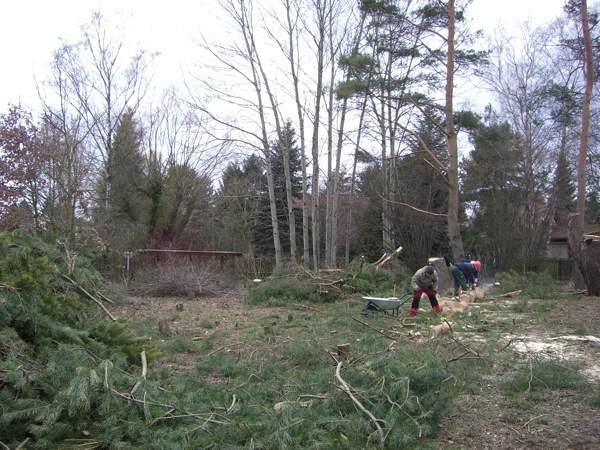 Neues Bauvorhaben in Woltersdorf - Baubetreuung in Berlin und ...